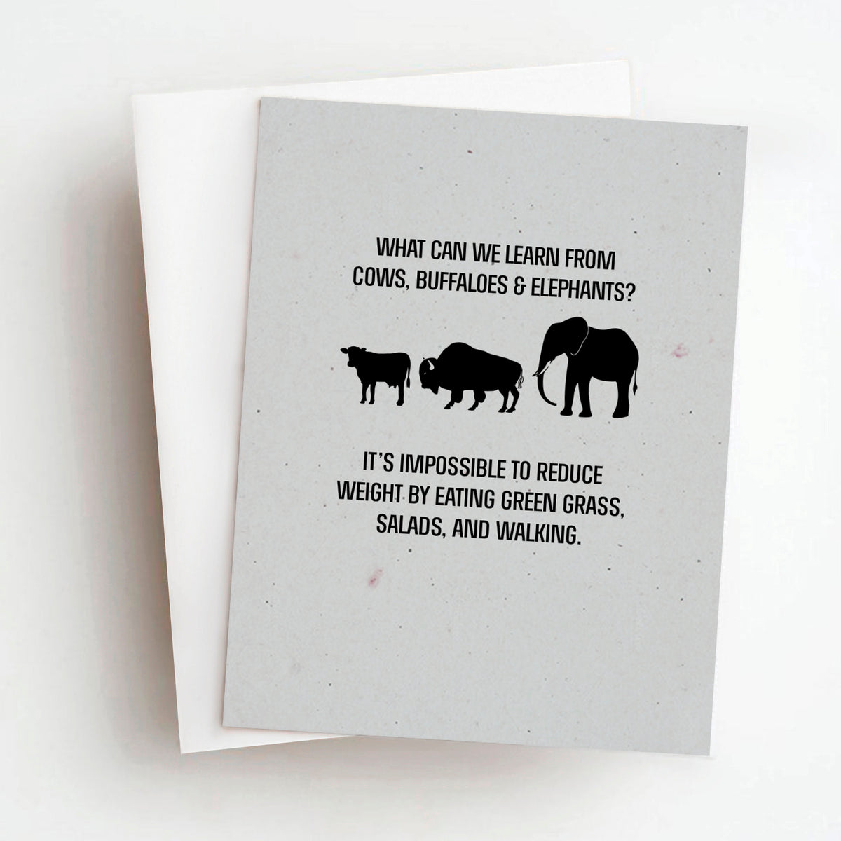 buffalo – Skel & Co.